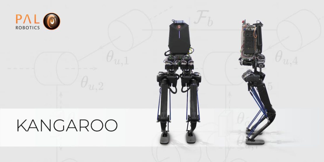 REEM-C - PAL Robotics