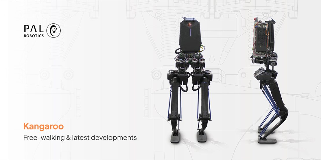 REEM-C - PAL Robotics