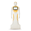 ARI | Social and Collaborative Robot for Research & Entertainment
