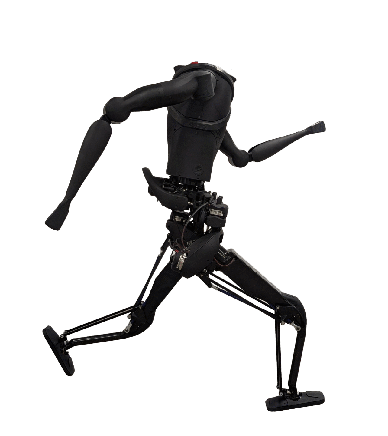 Kangaroo | Biped Humanoid Robot for Locomotion Research